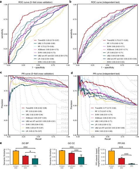 A Protein Sequence Based Deep Transfer Learning Framework For Identifying Human Proteome Wide