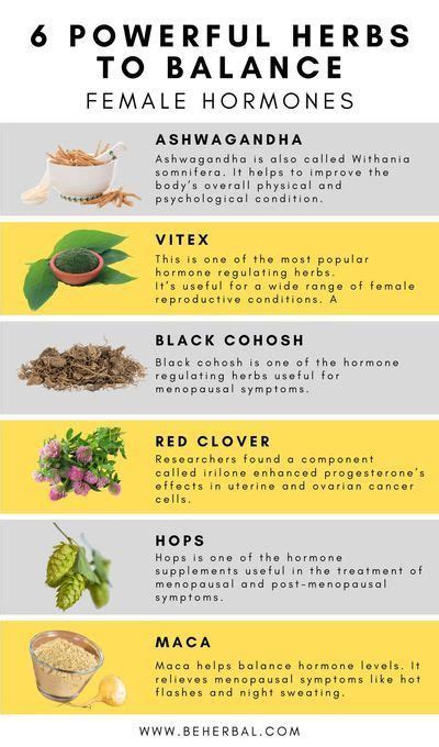 11 Hormone Regulating Herbs You May Have Never Heard Of Artofit