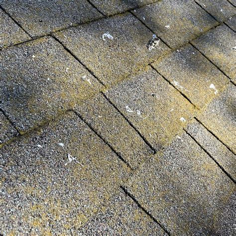 Our Projects Adaptive Roofing