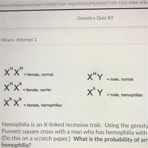Hemophilia Punnett Square