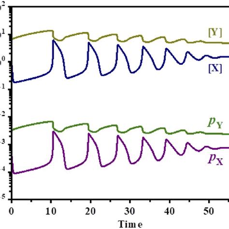 Time Evolution Of ˙ G And Δ˙ μΔμ Calculated For The Brusselator