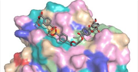 영국 연구팀 플라스틱 분해속도 20 Up 변이효소 개발