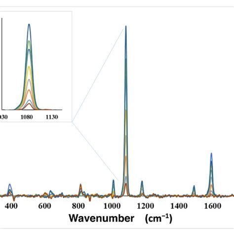 Typical Sers Spectra Obtained From Target Bacteria As A Function Of
