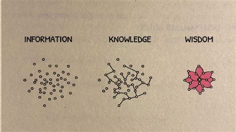 Information Knowledge Wisdom Suhail Ahamed Farook Acipp Chrp Mipa