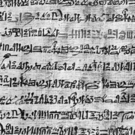 Rite Of Passage Nhoin Free Download Borrow And Streaming