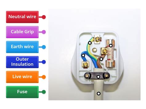 Wiring A Plug Labelled Diagram