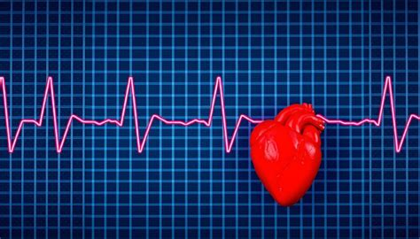 Ai Can Estimate Heart Biological Age From Ecg Data