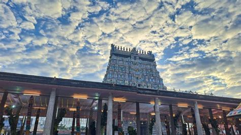 Vishal Kumar Singh On Linkedin If You Are Vegetarian In South India