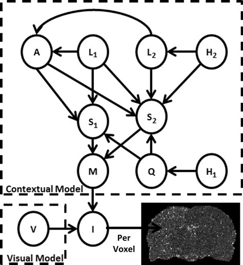 Graphical Representation Of The Bayesian Network Showing The