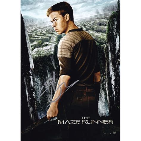 The Maze Runner