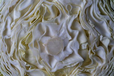Background Of The White Cabbage In The Cut Macro Photography Closeup