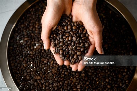 다른 커피 원두를 배경으로 갓 볶은 향기로운 커피 원두를 들고 있는 여성의 손의 평면도 가득 찬에 대한 스톡 사진 및 기타 이미지 가득 찬 갈색 개체 그룹 Istock