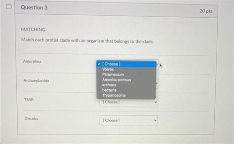 Solved Question 3 20 Pts Matching Match Each Protist Clade