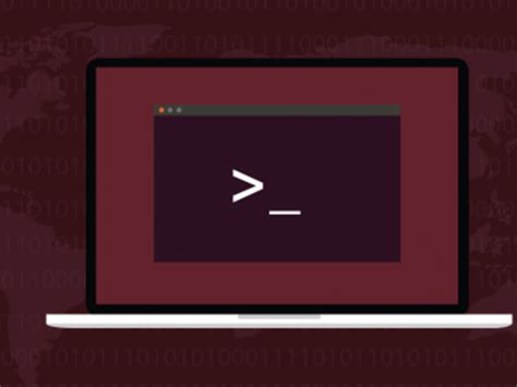 Comment Utiliser La Commande Chmod Sous Linux Moyens I O