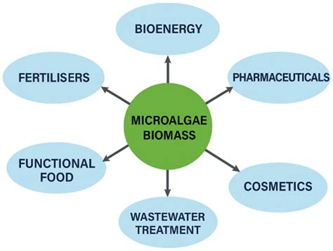 Multi Sensing Monitoring Of The Microalgae Biomass Cultivation Systems For Biofuels And Added