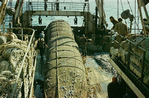 Statek Rybacki Wikiwand