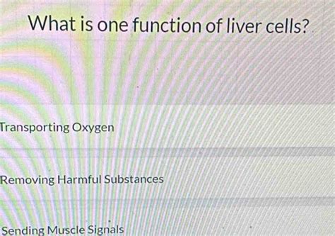 Solved What Is One Function Of Liver Cells Transporting Oxygen