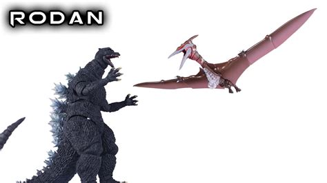 Rodan Godzilla Singular Point