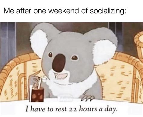 Life Of An Introvert R Muslimcorner