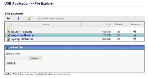 How Do I Access Usb Storage On My Vigor Router From The Internet Via