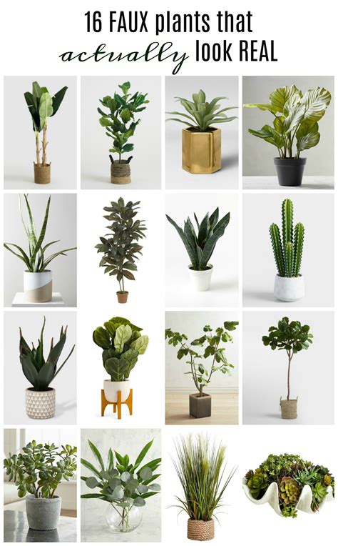 16 Faux Plants That Look Real City Farmhouse By Jennifer Obrien