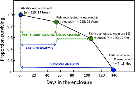 Schematic Illustration Of Sampling Design Showing The Number Of