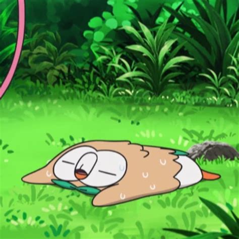Rowlet Pokemon Funny Cute Pokemon Wallpaper Pokemon Pictures