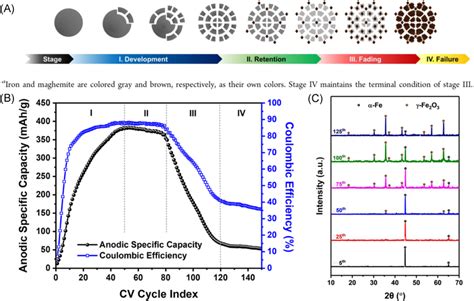A A Schematic Describing The Evolution Of Fe Anode Into Four Distinct Download Scientific