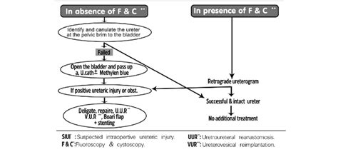 The Algorithm For The Urologist Consulted For A Suspected Iui