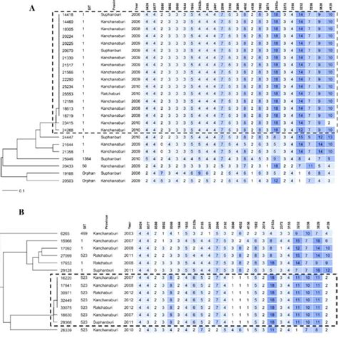 Unweighted Pair Group Method With Arithmetic Mean Tree Based On The