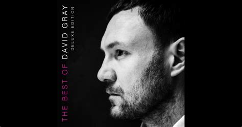 ‎the Best Of David Gray Deluxe Edition Album By David Gray Apple