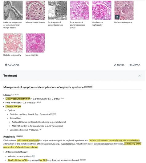 Nephrotic Syndrome Amboss Pdf