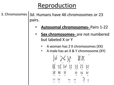 Reproduction 1 Introduction Ppt Download