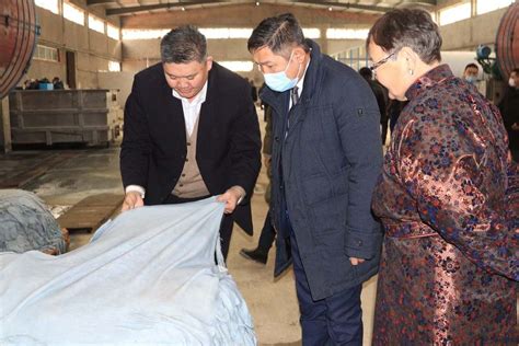 Жилд нэг сая арьс шир боловсруулах үйлдвэр ашиглалтад орлоо