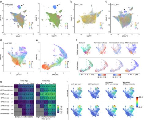 Cellular State Landscape Correlates With Cell To Cell Variation Of Download Scientific Diagram