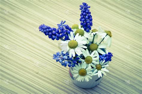 多色的低饱和度图像特效水平画幅无人阶调图片自然美花束春天黄色