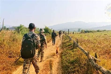 ရွှေကျင်တွင် စစ်ကောင်စီတပ်နှင့် Pdfပူး‌ ပေါင်းတပ်ဖွဲ့တို့ တိုက်ပွဲဖြစ်ပ