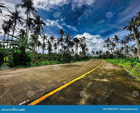 Scenic View Of An Empty Two Lane Road Lined With Trees On Either Side Stock Image Image Of