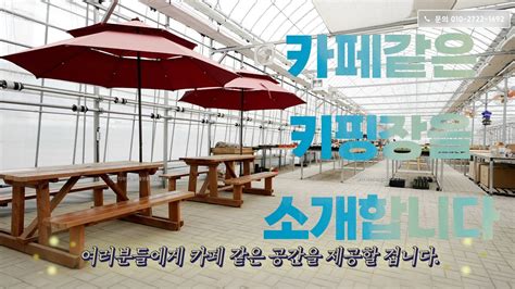 팜남사다육 농장을 소개합니다in 용인키핑 키핑장 다육키핑 식물키우기 Youtube