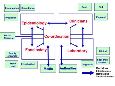 Ppt Outbreak Investigation Methodological Aspects Powerpoint Presentation Id305344