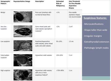 Thyroid Nodules Brown Med Peds