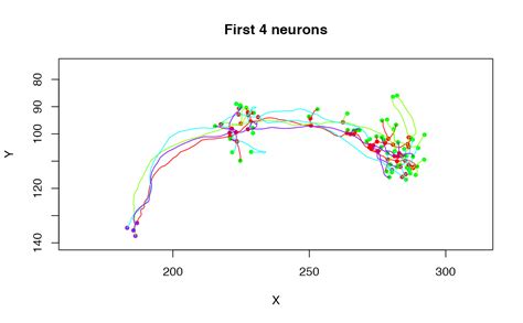 2d Plots Of The Elements In A Neuronlist Optionally Using A Subset