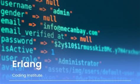Erlang Code Institute