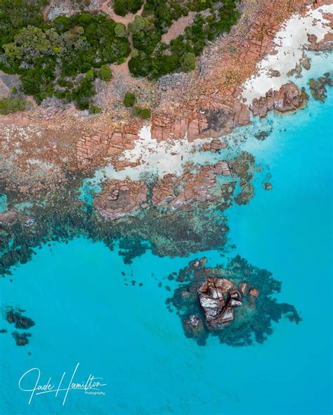 Jade Hamilton Photography