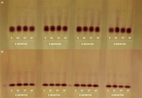 Esterase Expression In Seeds Of The Hybrids 2b647pw A And Shs4070 B Download Scientific