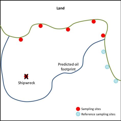 Schematic Of Sampling Strategy Download Scientific Diagram