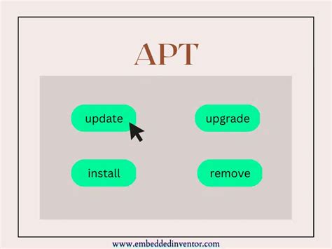 apt update vs apt upgrade differences explained