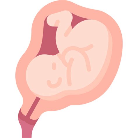 Fetus Special Flat Icon Fetus Special Flat Icon
