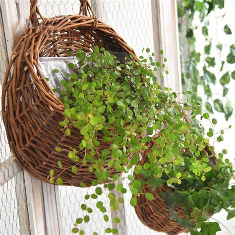 1pack Hanging Wicker Basket For Plantdecorative Wall Hanging Rattan