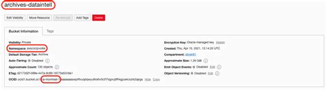 Setting Up An Oracle Cloud Storage DataIntell
